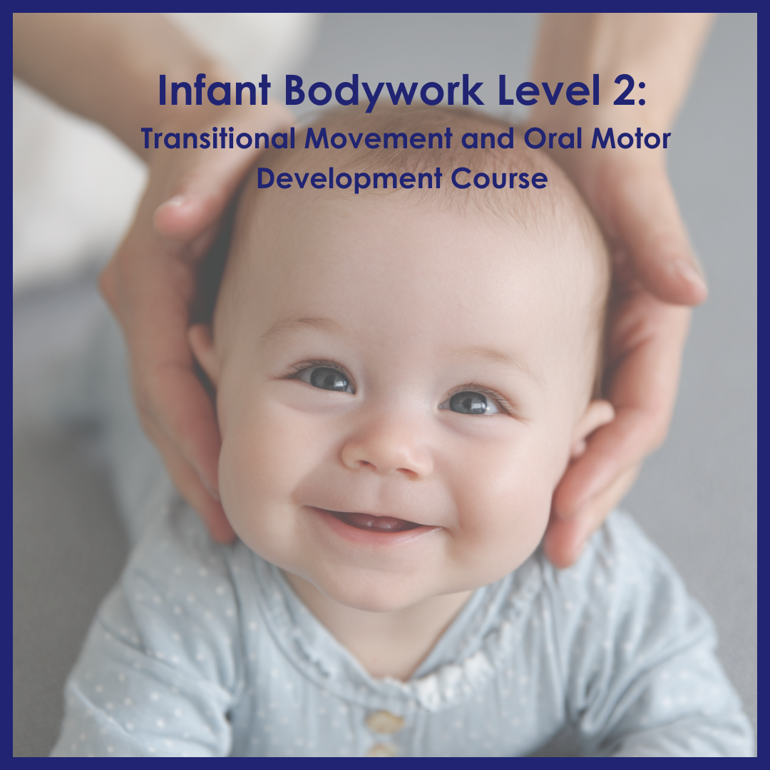 Infant Bodywork Level 2: Transitional Movement and Oral Motor Developm ...